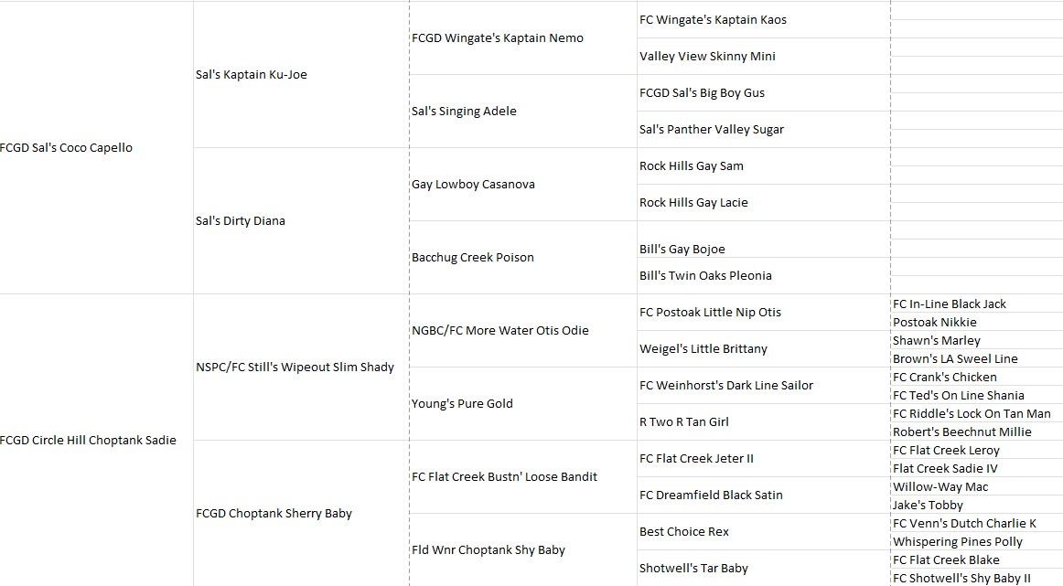 Click Here for video and pedigree – FCGD Capello x FCGD Sadie pups ...